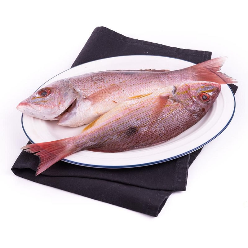 Pargo Platero Fresco x 500 g - Supermercado Megatiendas